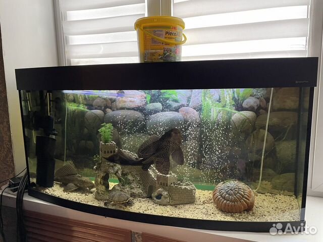 Аквариум с рыбками. Очистительная система