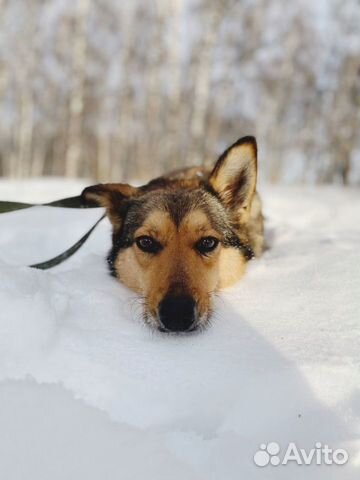Маленькая Ася ждет когда ее заметят