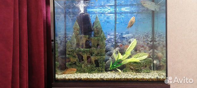 Аквариум 90 литров