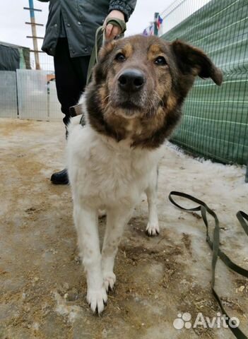Каждый день приносит боль
