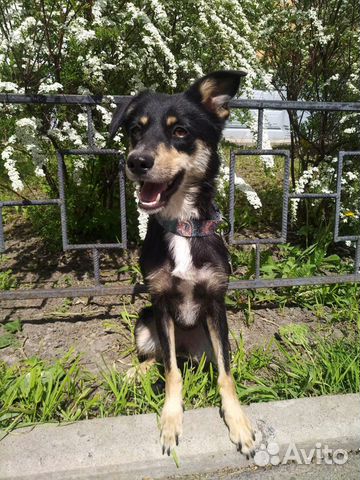 Мелкая замечательная девочка