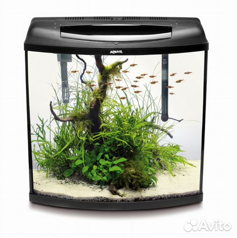 Аквариумы и террариумы, новые