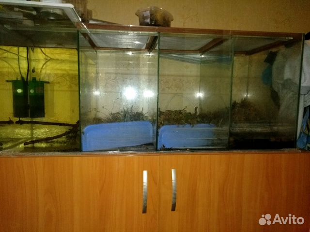 Аквариум 4 секционный