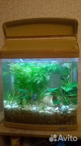 Аквариум jebo R331