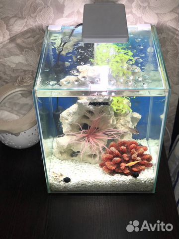 Аквариум