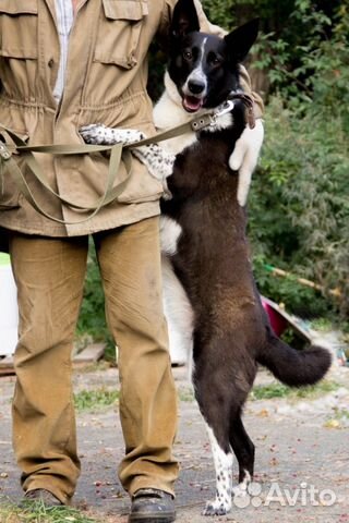 Малышка Джесси ищет любящий дом