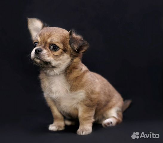 Яркое солнышко для вас