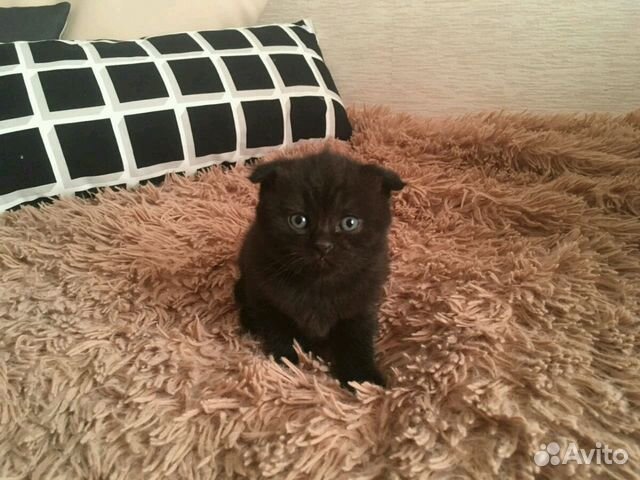 Сладкие комочки Отличный подарок на Новый год