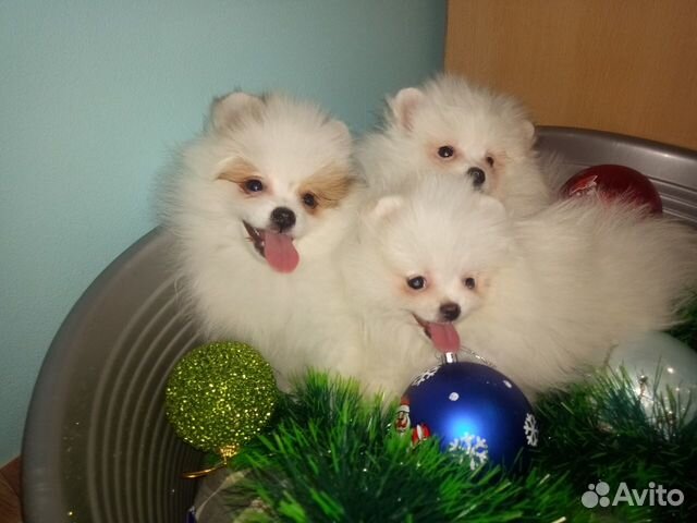 Новогодние снежинки