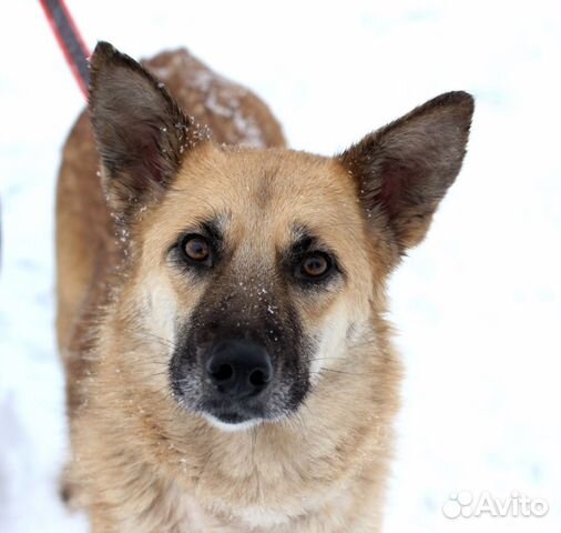 Возьми меня домой