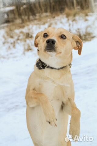 Малыш Лаки 1.5 года 35 см