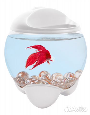Аквариум Tetra Betta Bubble и аксессуары
