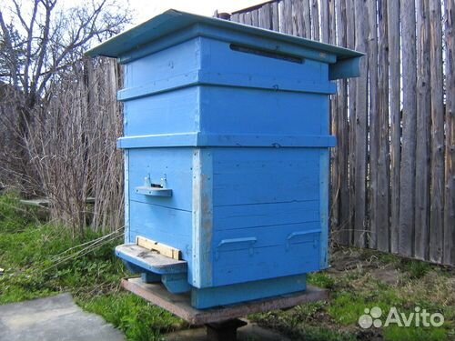 Продам пчел