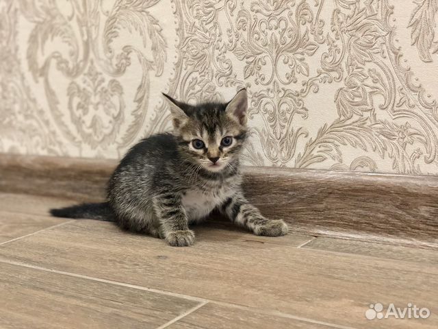 Счастье есть, и в ней оно