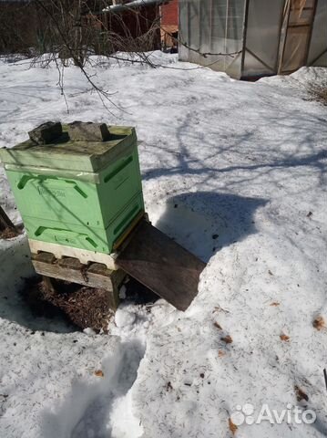 Продам пчелопакет 2019