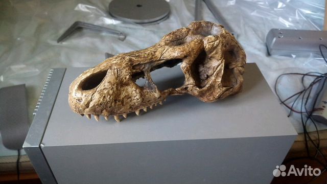 Череп для украшения аквариума или террариума