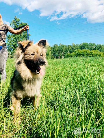 Марик ищет дом