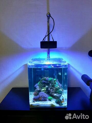 Морской аквариум