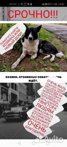Помогите найти дом