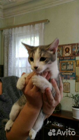 Ждёт ангела - хранителя