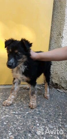 Необычная малышка