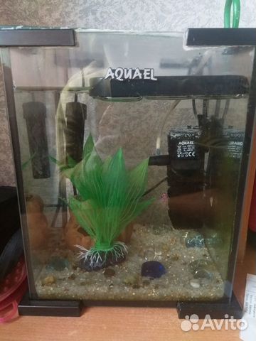 Аквариум