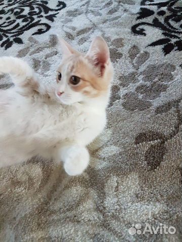 Милая ласковая Симочка