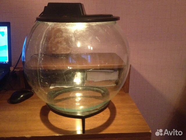 Аквариум круглый