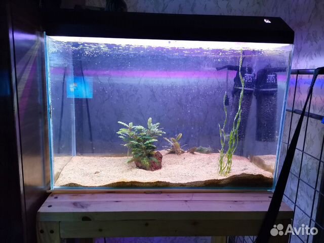 Аквариум на 60л