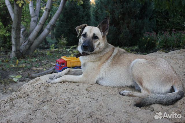 Милая и красивая Милана ищет дом