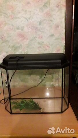 Аквариум