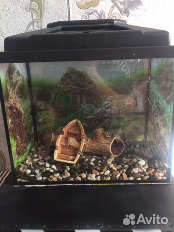 Аквариум