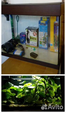 Аквариум