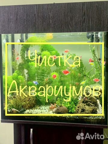 Чистка и уборка аквариумов