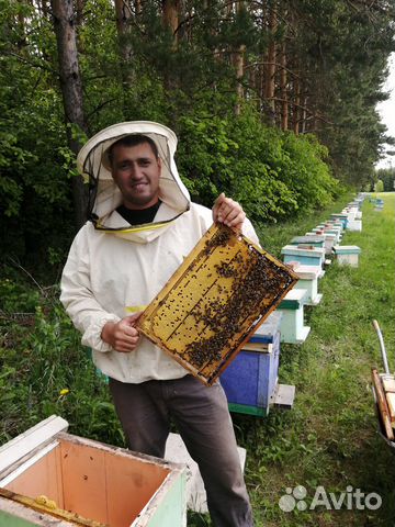 Пчелопакеты Бакфаст на май
