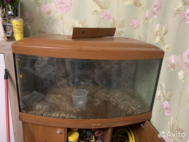 Аквариум панорамный с тумбой 300 литров