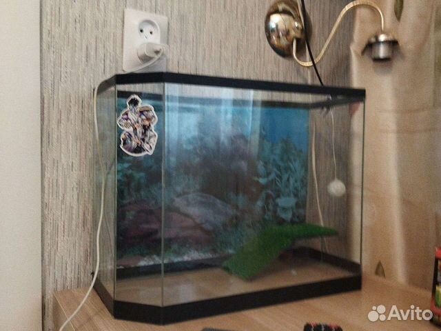 Аквариум