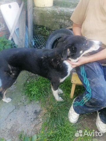 Маняша скромная для души