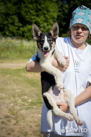 Джонни ждёт своию семью. Малыш в приюте