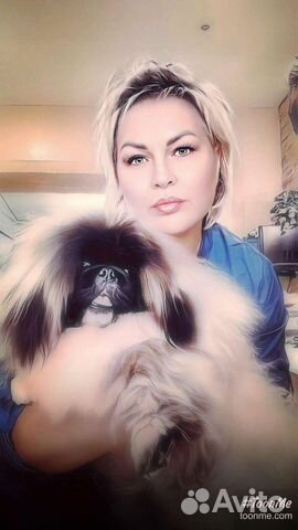 Пекинес мальчик