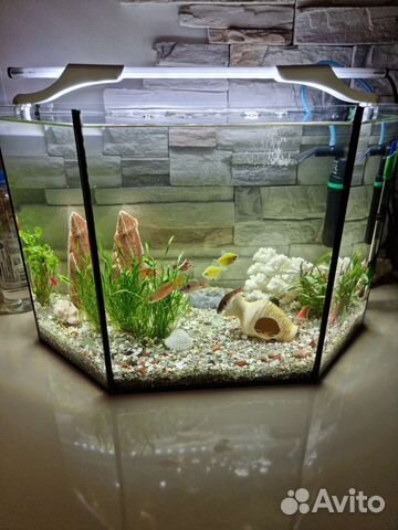 Отдам бесплатно аквариум