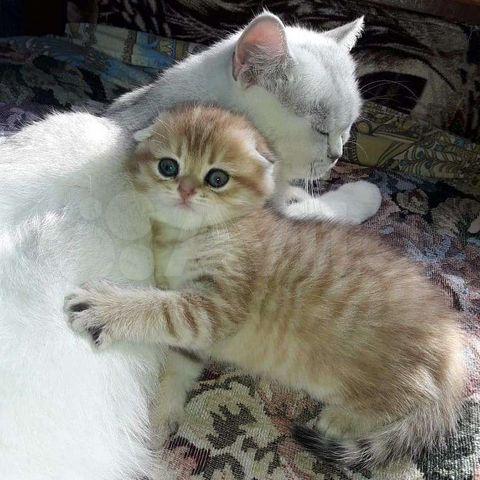 Маленькое солнышко