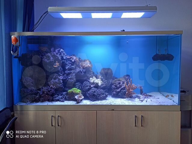 Морской аквариум 1000л